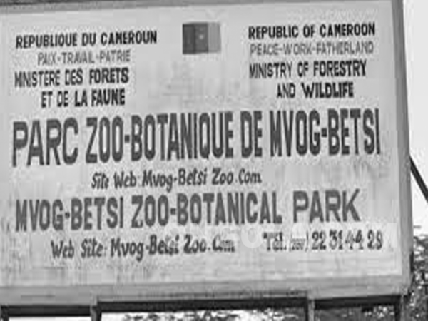 Le parc Zoo-Botanique de Mvog Betsi – Yaoundé Cameroun - Actualite et ...